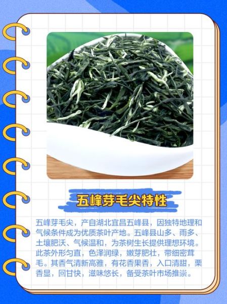 五峰毛尖的功效与作用_五峰毛尖适合什么人喝-第1张图片-山城妙识