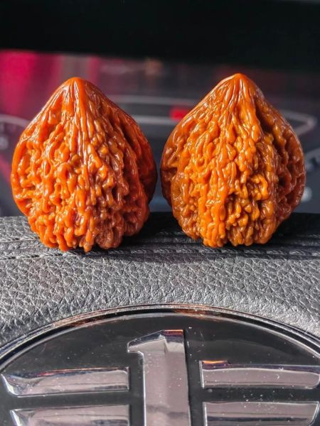 盘了40年的普通核桃值多少钱_怎么鉴别真假包浆-第3张图片-山城妙识 盘了40年的普通核桃值多少钱_怎么鉴别真假包浆-第3张图片-山城妙识