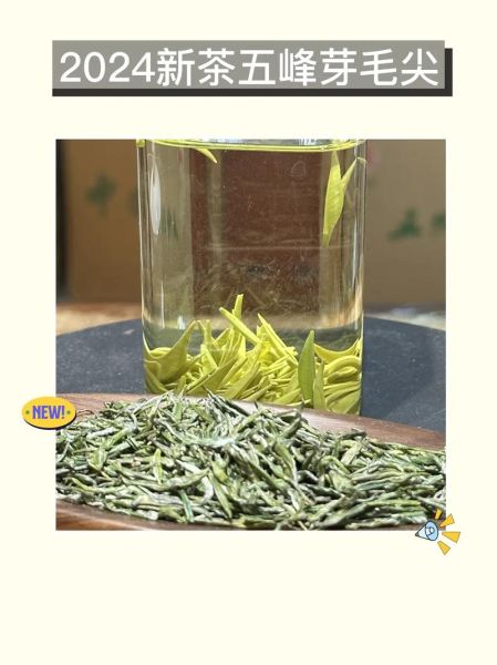 五峰毛尖的功效与作用_五峰毛尖适合什么人喝-第2张图片-山城妙识