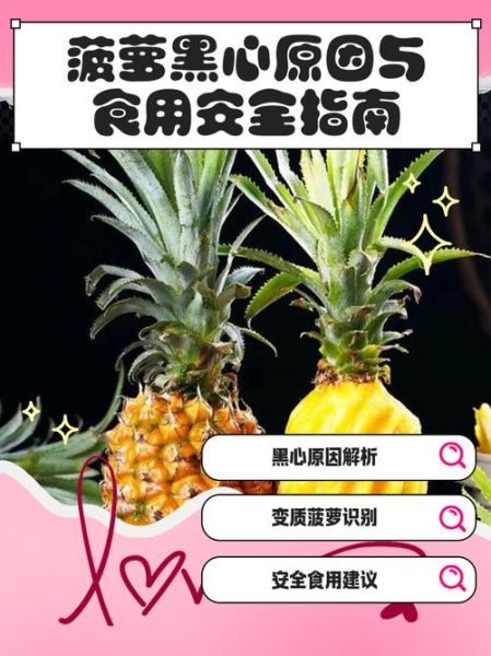 菠萝是什么意思很污_网络暗语真相-第1张图片-山城妙识