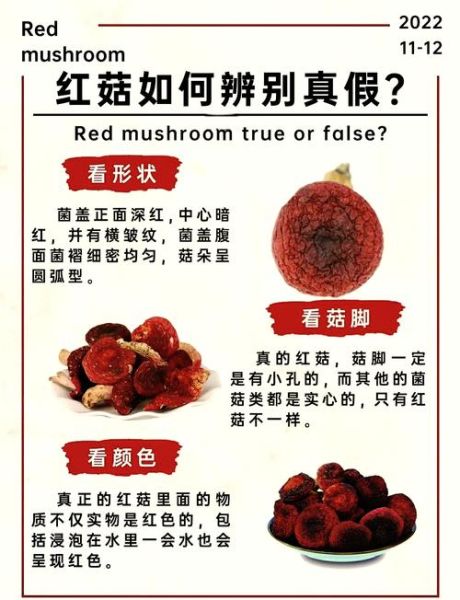 红蘑菇白杆杆有毒吗_如何辨别红蘑菇白杆杆-第1张图片-山城妙识