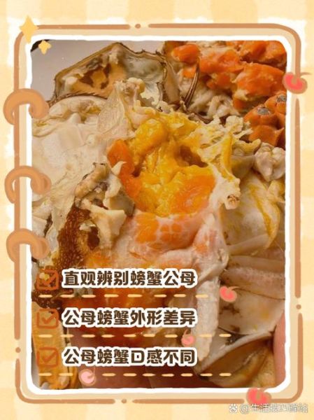 螃蟹怎么挑选公母_公母蟹怎么分辨-第3张图片-山城妙识