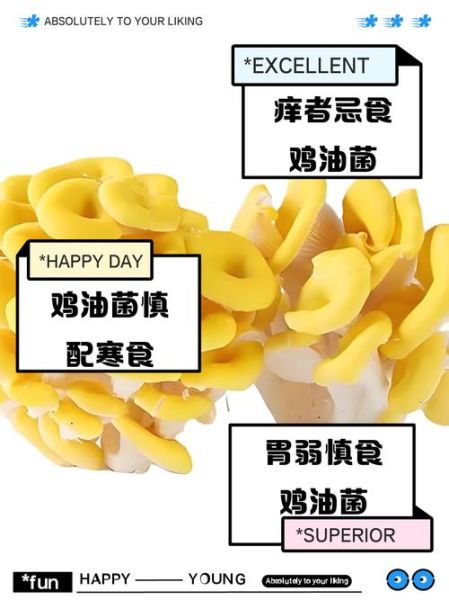 鸡油菌不能和什么一起吃_哪些人不能吃鸡油菌-第1张图片-山城妙识 鸡油菌不能和什么一起吃_哪些人不能吃鸡油菌-第1张图片-山城妙识