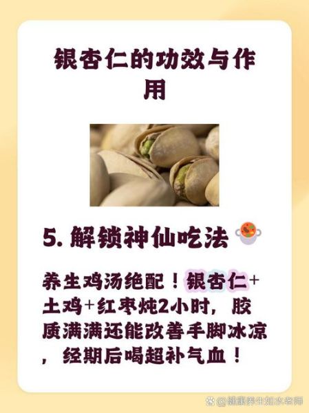 银杏仁怎么吃_银杏仁的正确吃法-第1张图片-山城妙识 银杏仁怎么吃_银杏仁的正确吃法-第1张图片-山城妙识