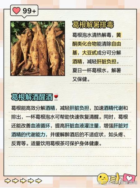 葛根解酒有用吗_葛根怎么吃解酒最快-第1张图片-山城妙识