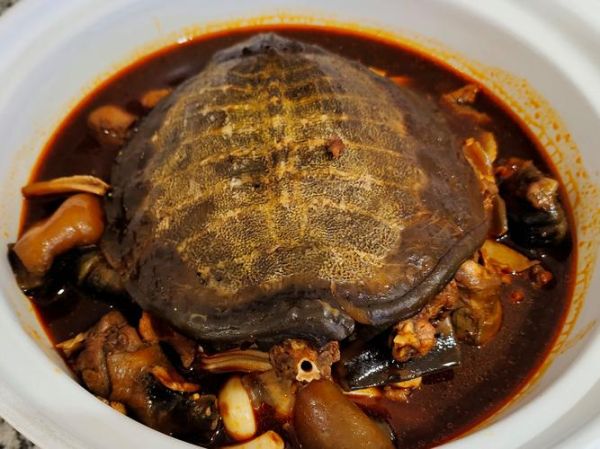 甲鱼的做法有几种_甲鱼怎么做好吃-第1张图片-山城妙识 甲鱼的做法有几种_甲鱼怎么做好吃-第1张图片-山城妙识