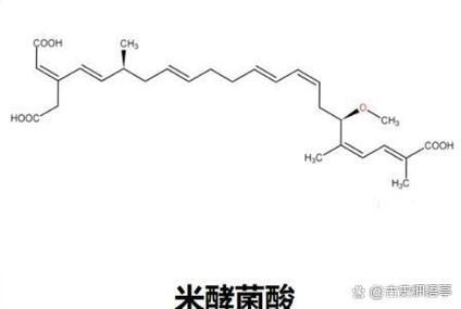 东北酸汤子中毒事件_酸汤子为什么会中毒-第1张图片-山城妙识 东北酸汤子中毒事件_酸汤子为什么会中毒-第1张图片-山城妙识