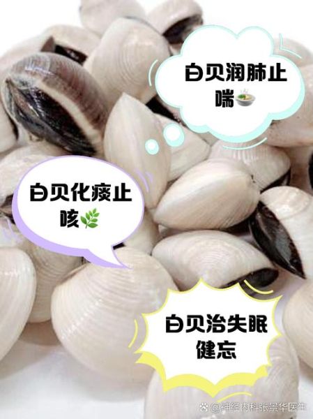 白贝的功效与作用_白贝怎么吃最营养-第1张图片-山城妙识