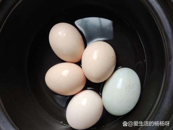 水煮鸭蛋怎么煮好吃_水煮鸭蛋要煮多久才入味-第2张图片-山城妙识