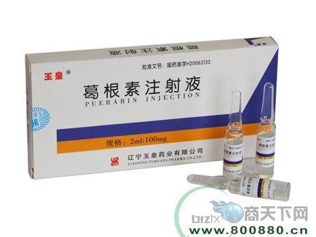 葛根素注射适应症_葛根素注射副作用-第3张图片-山城妙识