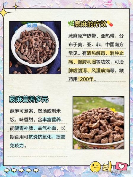 蕨麻的功效与作用吃法_蕨麻怎么吃效果最好-第1张图片-山城妙识