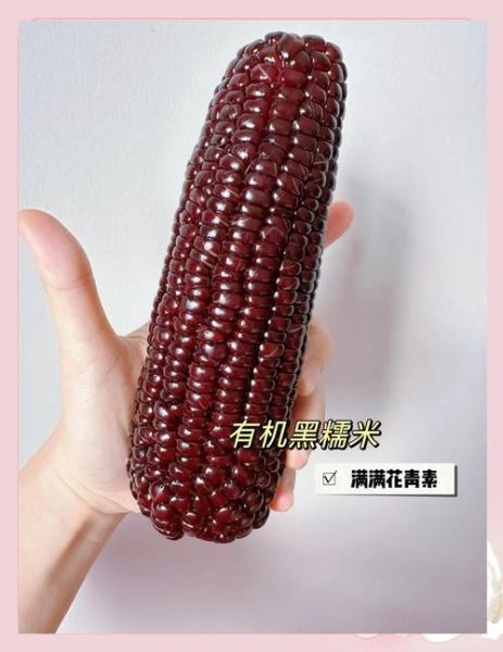 黑玉米的功效与作用_黑玉米的营养价值高吗-第3张图片-山城妙识