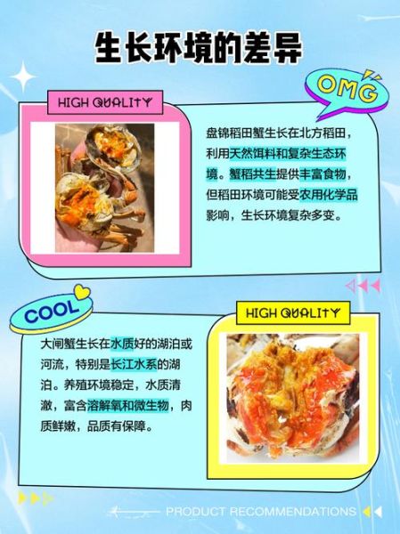 稻田蟹和大闸蟹哪个好_区别与选购指南-第2张图片-山城妙识