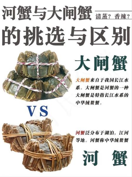 稻田蟹和大闸蟹哪个好_区别与选购指南-第3张图片-山城妙识