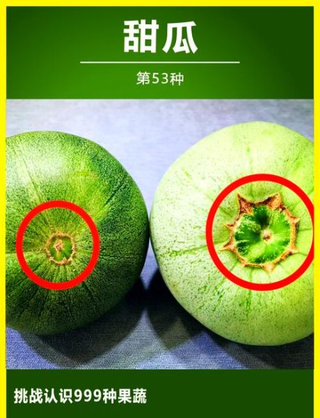香瓜怎么挑选_香瓜挑选技巧-第2张图片-山城妙识 香瓜怎么挑选_香瓜挑选技巧-第2张图片-山城妙识