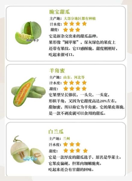 香瓜怎么挑选_香瓜挑选技巧-第3张图片-山城妙识 香瓜怎么挑选_香瓜挑选技巧-第3张图片-山城妙识
