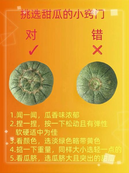 香瓜怎么挑选_香瓜挑选技巧-第1张图片-山城妙识 香瓜怎么挑选_香瓜挑选技巧-第1张图片-山城妙识