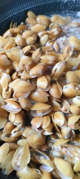 海瓜子图片有几种_如何区分不同品种-第2张图片-山城妙识 海瓜子图片有几种_如何区分不同品种-第2张图片-山城妙识