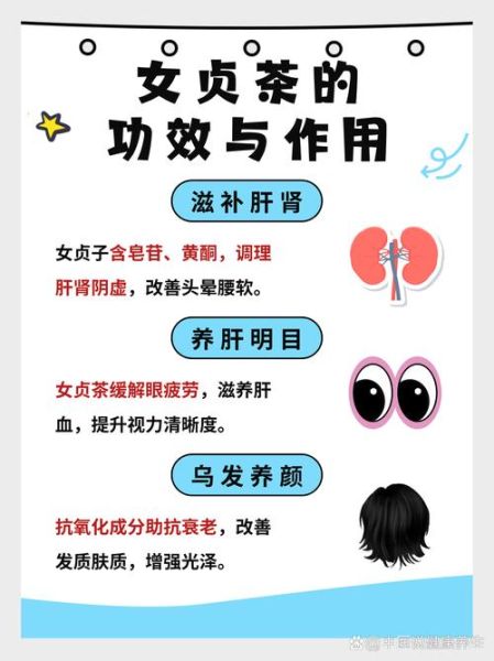 女贞子泡水喝的功效与禁忌_女贞子适合哪些人吃-第3张图片-山城妙识