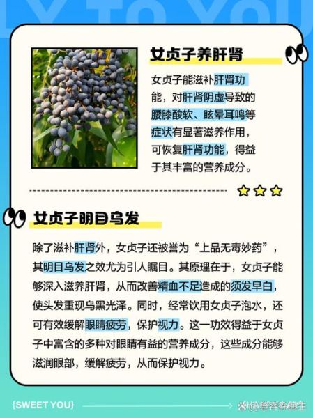 女贞子泡水喝的功效与禁忌_女贞子适合哪些人吃-第2张图片-山城妙识