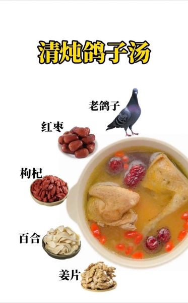 鸽子汤的功效与作用_鸽子汤适合什么人喝-第2张图片-山城妙识 鸽子汤的功效与作用_鸽子汤适合什么人喝-第2张图片-山城妙识