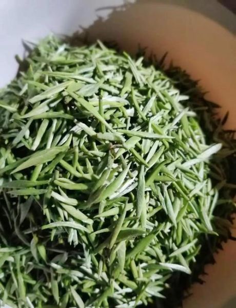 黄山毛峰怎么泡_黄山毛峰多少钱一斤-第1张图片-山城妙识 黄山毛峰怎么泡_黄山毛峰多少钱一斤-第1张图片-山城妙识