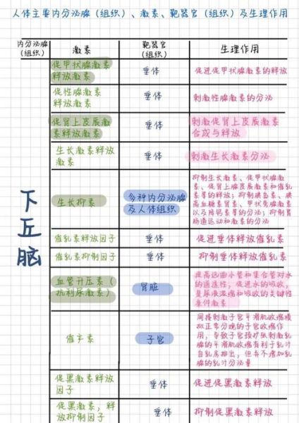 调节内分泌最好的方法_如何快速平衡激素-第2张图片-山城妙识 调节内分泌最好的方法_如何快速平衡激素-第2张图片-山城妙识