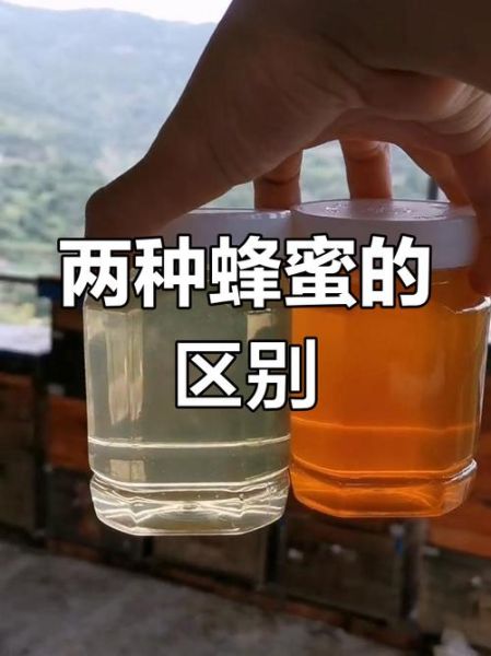 槐花蜜和枣花蜜哪个好_槐花蜜和枣花蜜的区别-第1张图片-山城妙识 槐花蜜和枣花蜜哪个好_槐花蜜和枣花蜜的区别-第1张图片-山城妙识