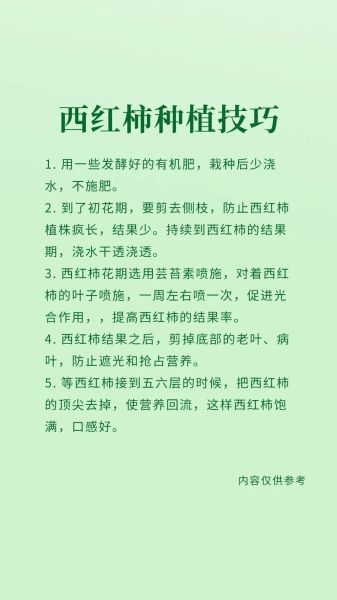 西红柿怎么种_西红柿种植管理技巧-第3张图片-山城妙识 西红柿怎么种_西红柿种植管理技巧-第3张图片-山城妙识