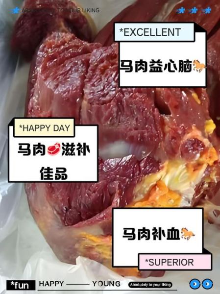 马肉哪些人不适合吃_孕妇能吃马肉吗-第2张图片-山城妙识 马肉哪些人不适合吃_孕妇能吃马肉吗-第2张图片-山城妙识