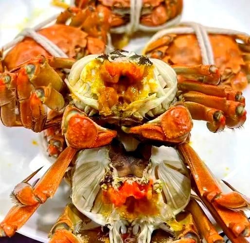 阳澄湖开湖时间2021_大闸蟹上市了吗-第3张图片-山城妙识