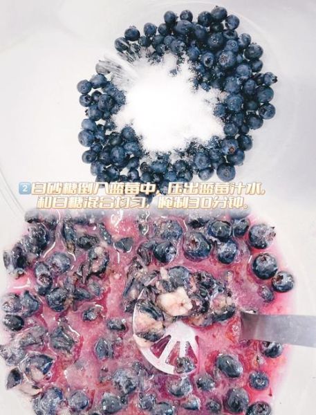 蓝莓果酱怎么做_蓝莓果酱能保存多久-第1张图片-山城妙识
