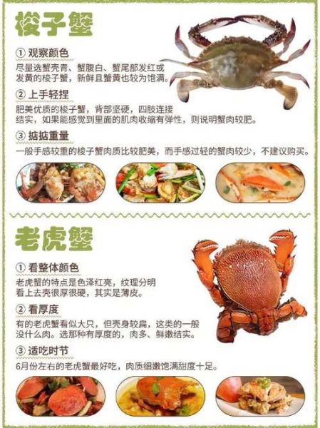 海螃蟹品种有哪些_如何挑选新鲜海蟹-第1张图片-山城妙识 海螃蟹品种有哪些_如何挑选新鲜海蟹-第1张图片-山城妙识