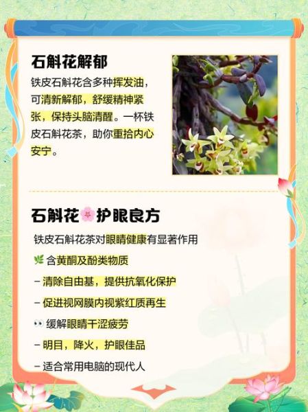 铁皮石斛花有什么功效_铁皮石斛花怎么吃最好-第1张图片-山城妙识 铁皮石斛花有什么功效_铁皮石斛花怎么吃最好-第1张图片-山城妙识