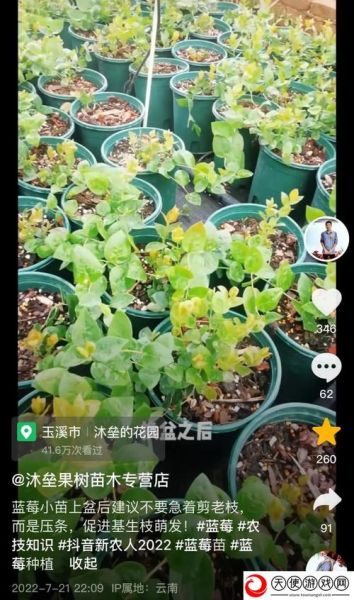 蓝莓影视怎么下载_蓝莓影视最新网址是多少-第3张图片-山城妙识