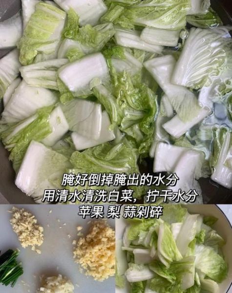 韩国辣白菜怎么保存_正宗做法步骤-第2张图片-山城妙识 韩国辣白菜怎么保存_正宗做法步骤-第2张图片-山城妙识