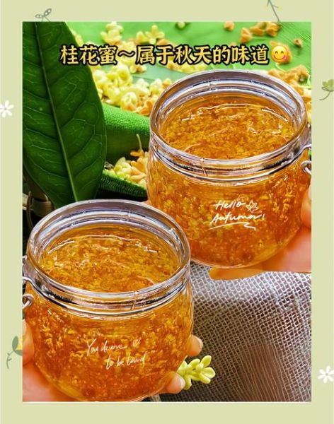 蜂蜜桂花怎么做_蜂蜜桂花保存多久-第3张图片-山城妙识 蜂蜜桂花怎么做_蜂蜜桂花保存多久-第3张图片-山城妙识