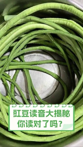 豇豆读音是什么意思_豇豆和豆角区别-第2张图片-山城妙识 豇豆读音是什么意思_豇豆和豆角区别-第2张图片-山城妙识