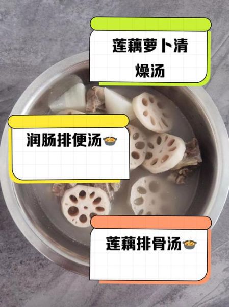 莲藕胡萝卜排骨汤的功效_孕妇能喝吗-第3张图片-山城妙识 莲藕胡萝卜排骨汤的功效_孕妇能喝吗-第3张图片-山城妙识