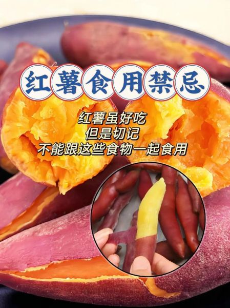 吃完红薯千万别碰5种食物_会中毒吗-第1张图片-山城妙识 吃完红薯千万别碰5种食物_会中毒吗-第1张图片-山城妙识