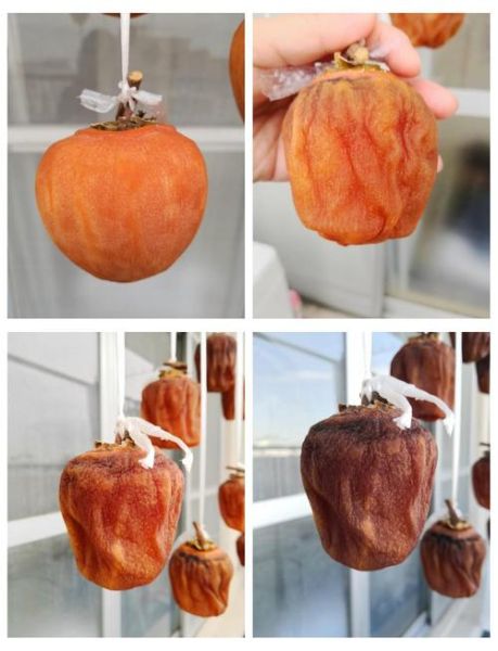 怎么做柿饼子_柿饼子晒制技巧-第2张图片-山城妙识 怎么做柿饼子_柿饼子晒制技巧-第2张图片-山城妙识