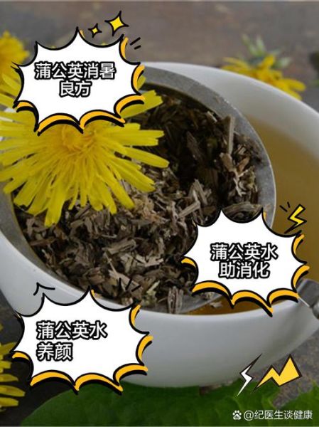蒲公英的副作用有哪些_蒲公英泡水喝的禁忌-第2张图片-山城妙识 蒲公英的副作用有哪些_蒲公英泡水喝的禁忌-第2张图片-山城妙识