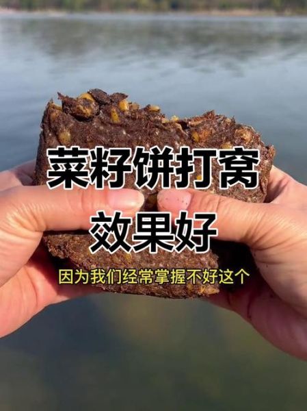 菜籽饼打窝多久发窝_菜籽饼打窝钓鲫鱼技巧-第3张图片-山城妙识