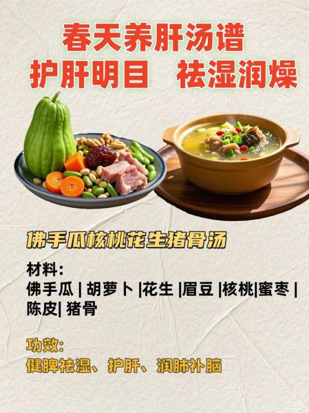春季养生汤的做法大全_春季喝什么汤养肝健脾-第1张图片-山城妙识 春季养生汤的做法大全_春季喝什么汤养肝健脾-第1张图片-山城妙识