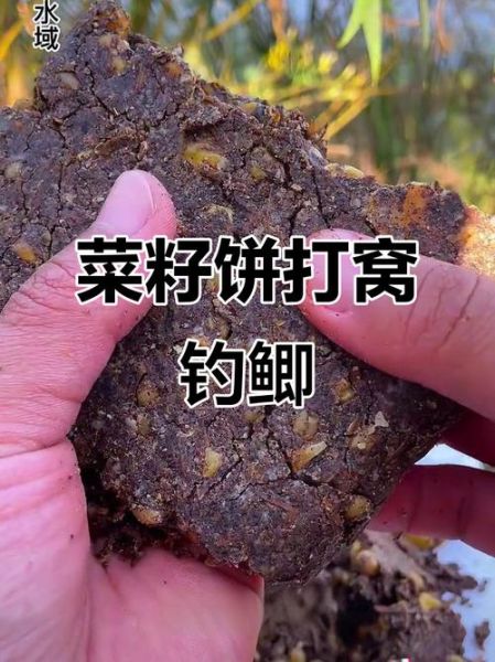 菜籽饼打窝多久发窝_菜籽饼打窝钓鲫鱼技巧-第2张图片-山城妙识