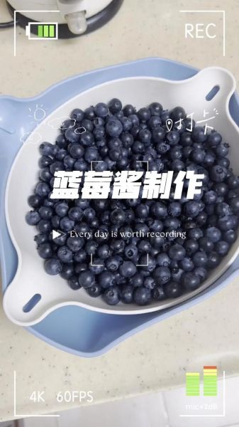 蓝莓果酱怎么吃_蓝莓果酱可以做什么甜品-第1张图片-山城妙识