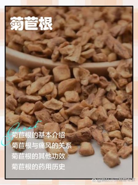 菊苣根图片长什么样_菊苣根功效与作用-第1张图片-山城妙识