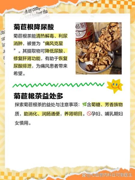 菊苣根图片长什么样_菊苣根功效与作用-第2张图片-山城妙识