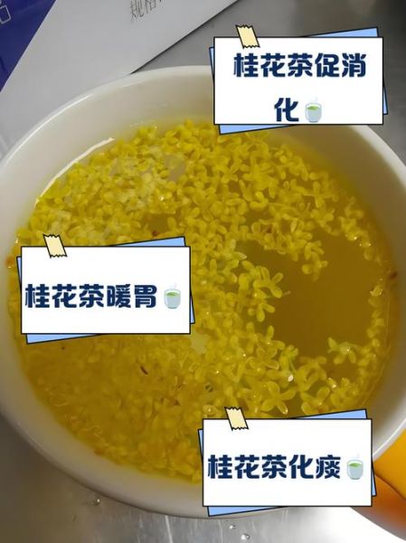 桂花怎么泡水喝_桂花泡水喝的正确方法-第3张图片-山城妙识