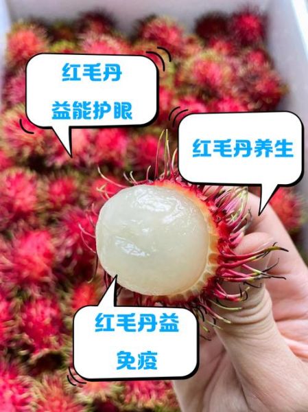 红毛丹怎么吃图解_红毛丹怎么吃才正确-第2张图片-山城妙识 红毛丹怎么吃图解_红毛丹怎么吃才正确-第2张图片-山城妙识